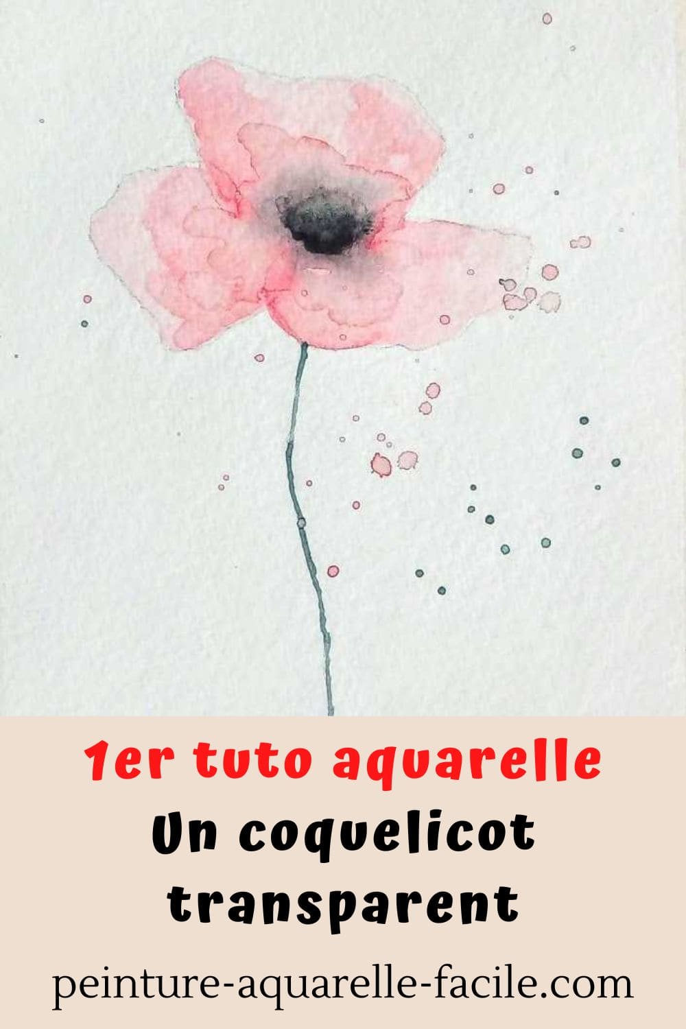 Coquelicots en aquarelle : 3 tutoriels faciles